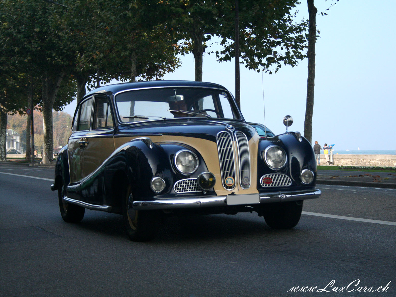 BMW 502 & Bentley Mulsanne LWB | 보배드림 수입차게시판